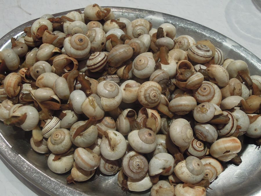 Caracóis, quem é que não gosta de caracóis?